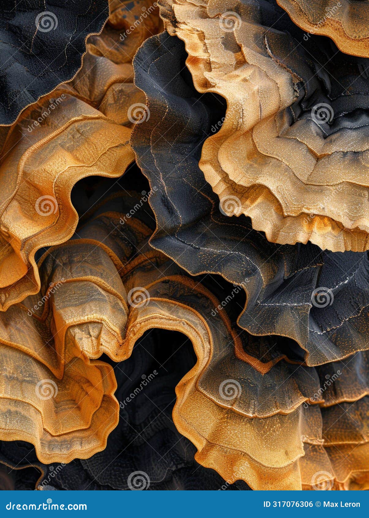 Sand Golden And Black Real Sharpening Shadow Edges Sharp Stock Photo ...