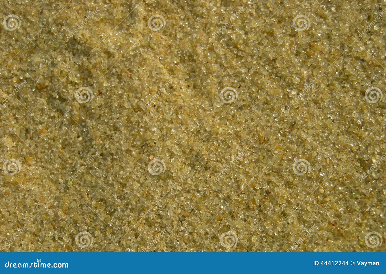 Sand grain stock photo. Image of nature, coast, lettering - 44412244