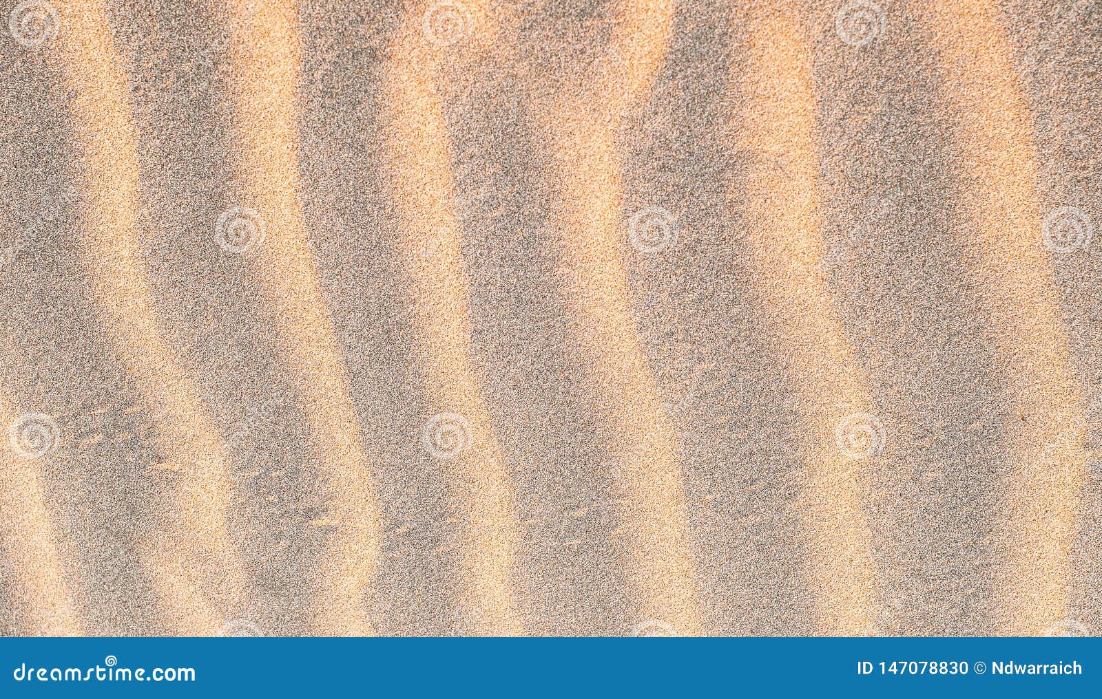 Sand Grain Ripples in the Desert Stock Photo - Image of grain, desert ...