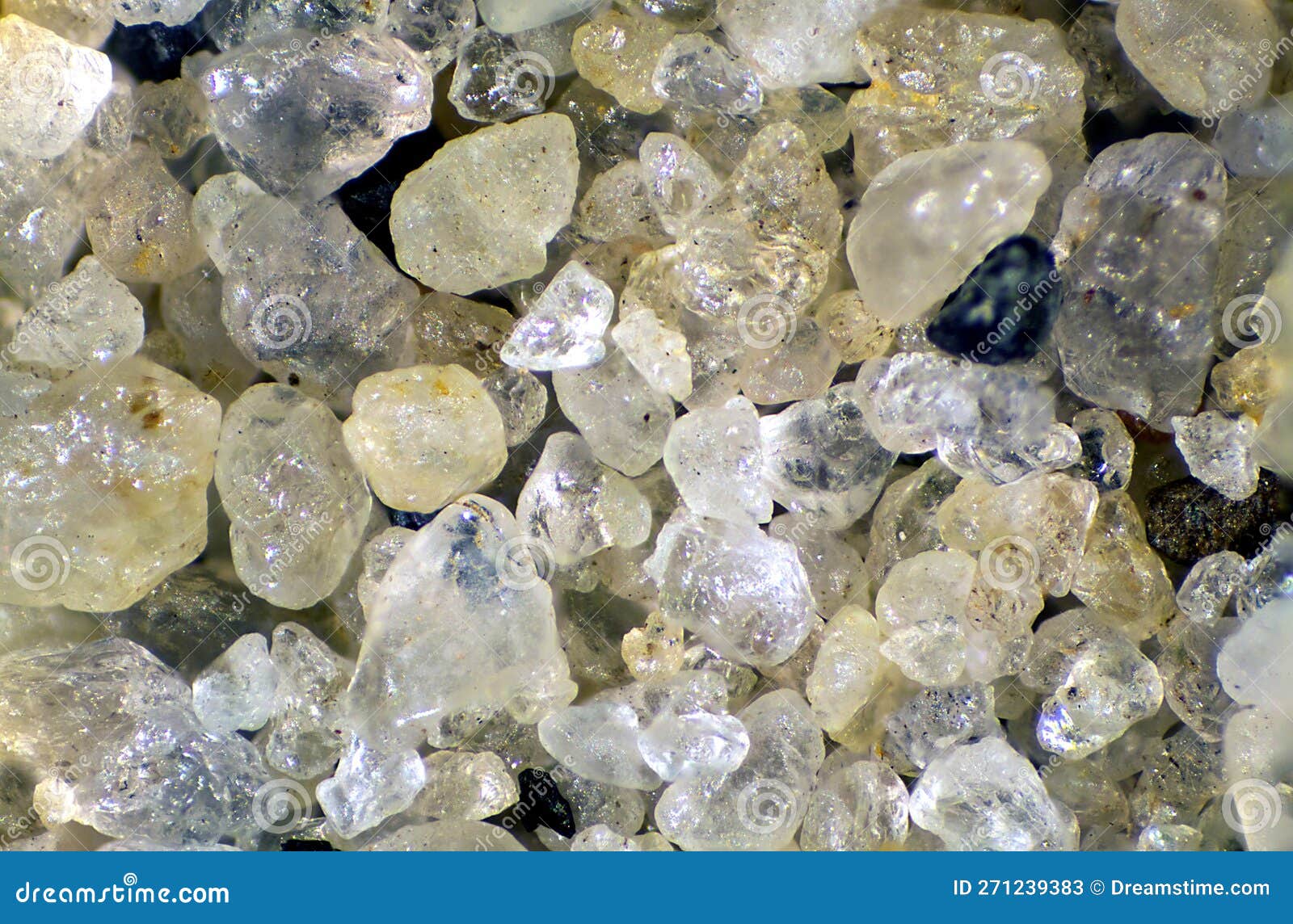 Microscope And Enlarged Cells On A Computer Screen Royalty-Free Stock ...