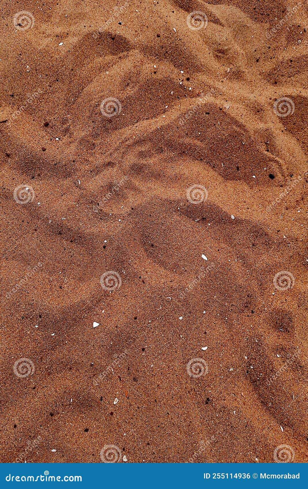 Sand Grains and Shrimp Chips Stock Photo - Image of fragments, sand ...