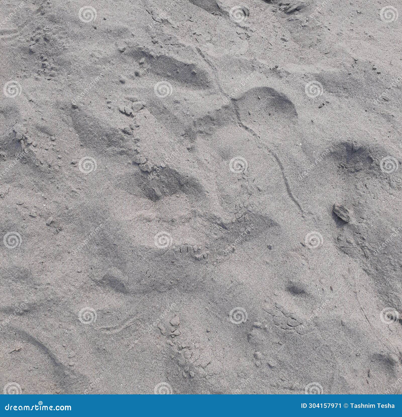 Sand is a Granular Material Composed of Finely Divided Mineral ...