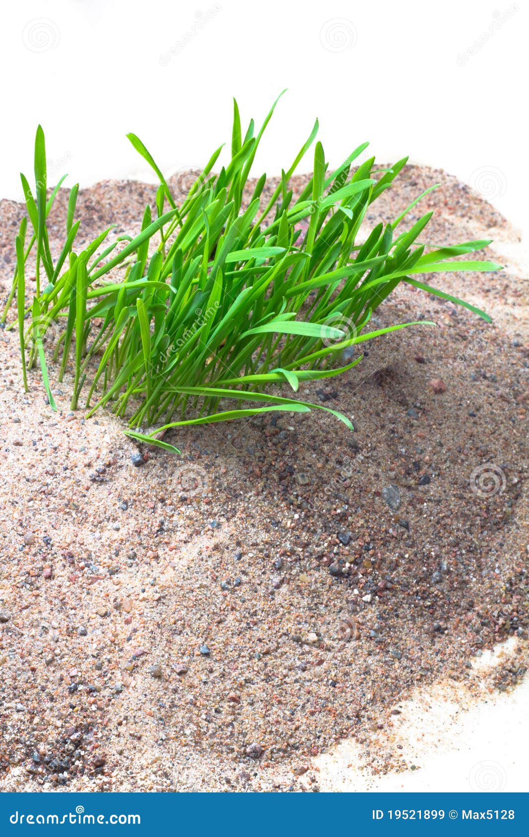 Sand grass stock image. Image of adventure, travel, climate - 19521899