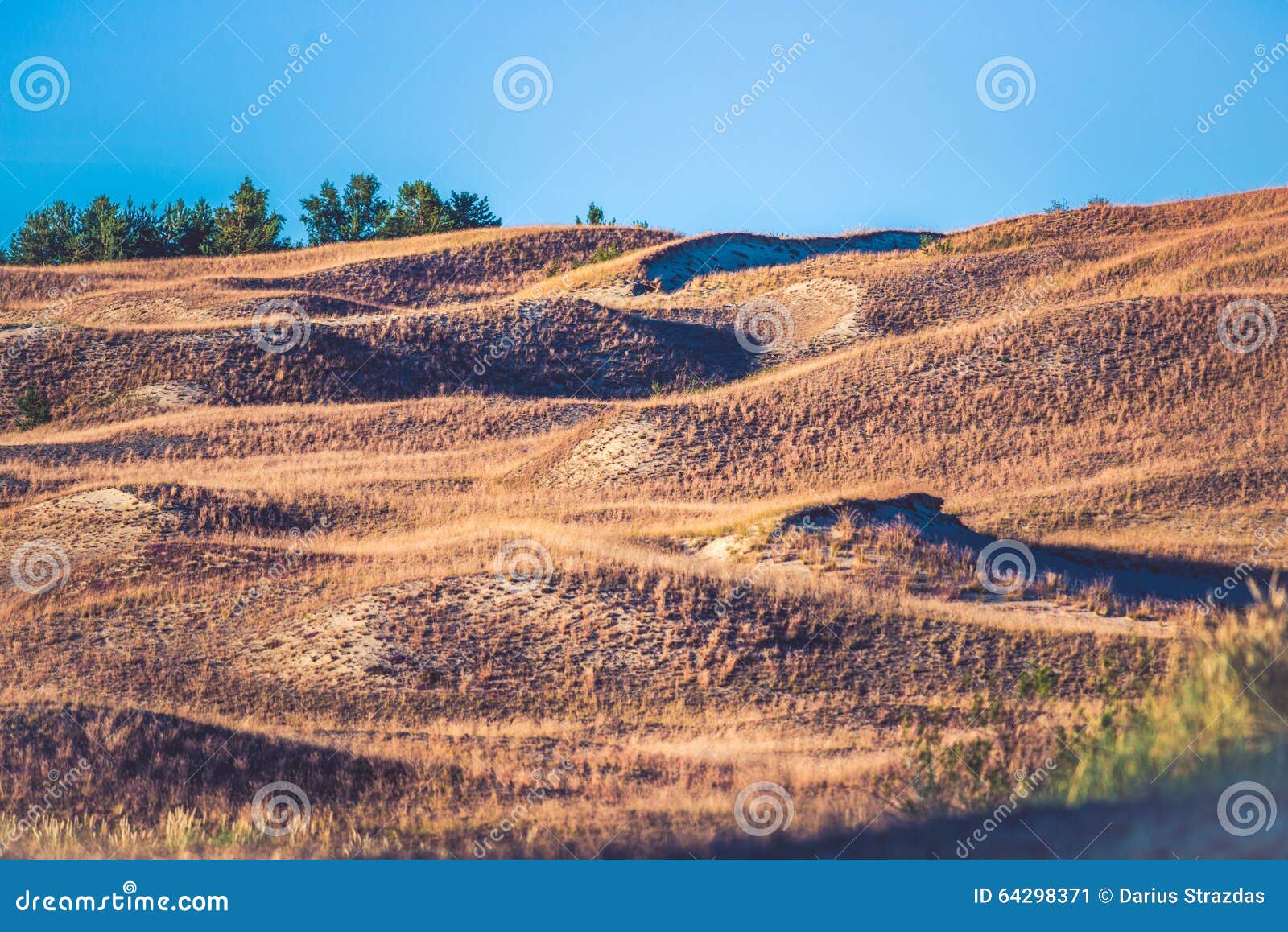 Sand and grass stock image. Image of landscape, land - 64298371