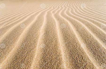 Sand groove away stock image. Image of natural, textured - 3173539