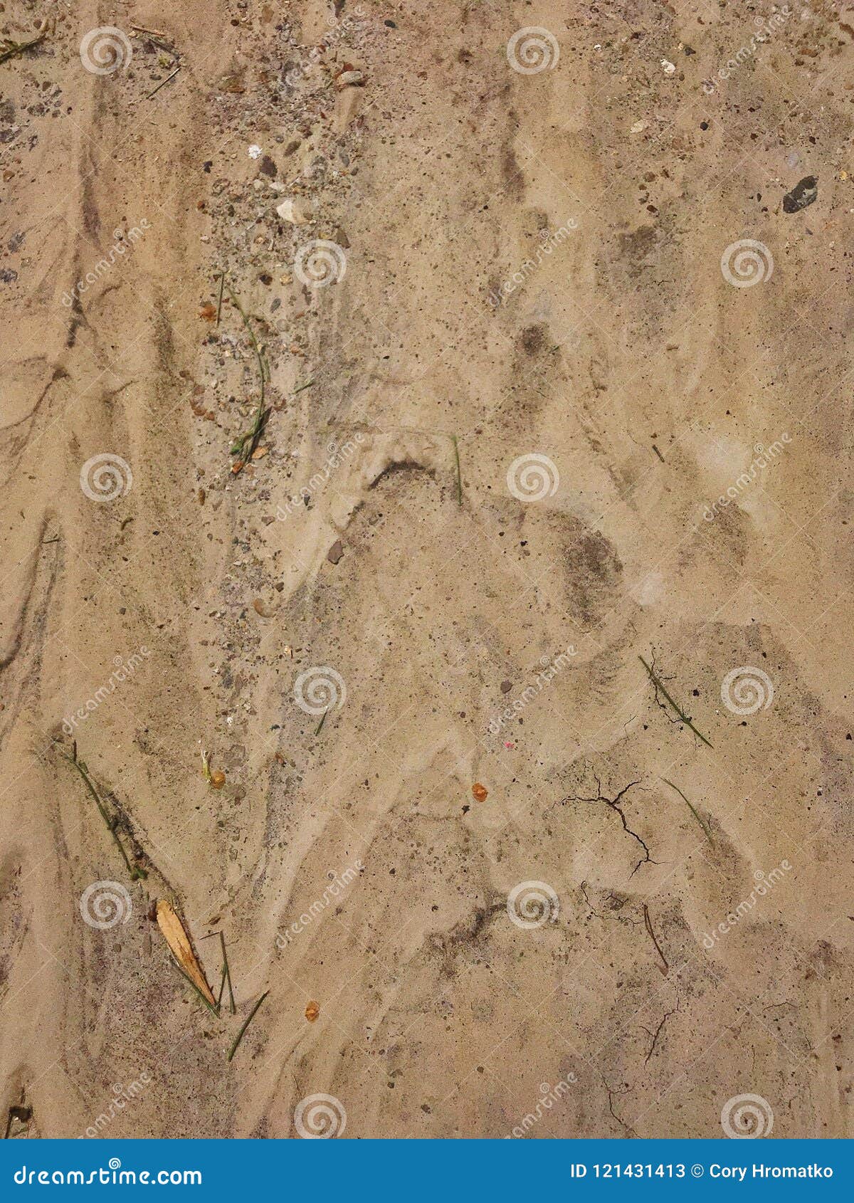 Textural Image of Sand in a Ditch Stock Image - Image of ditch, leaves ...