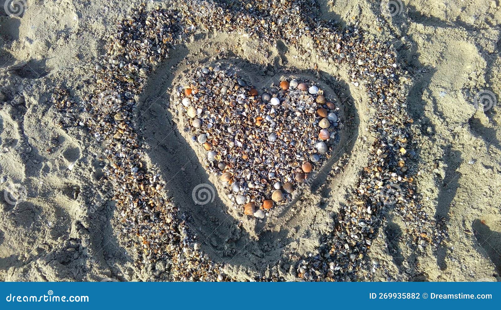 Sand heart with shells stock photo. Image of heart, animal - 269935882