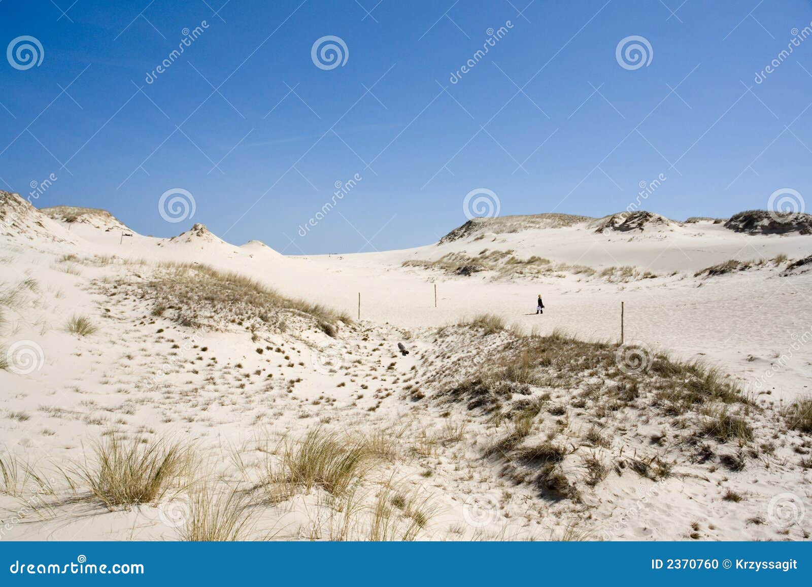 Sand Hills stock photo. Image of sandy, dunes, hilltop - 2370760