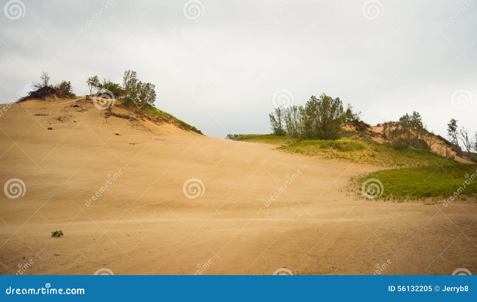 Sand Hills at Warren Dunes Park Stock Image - Image of michigan ...