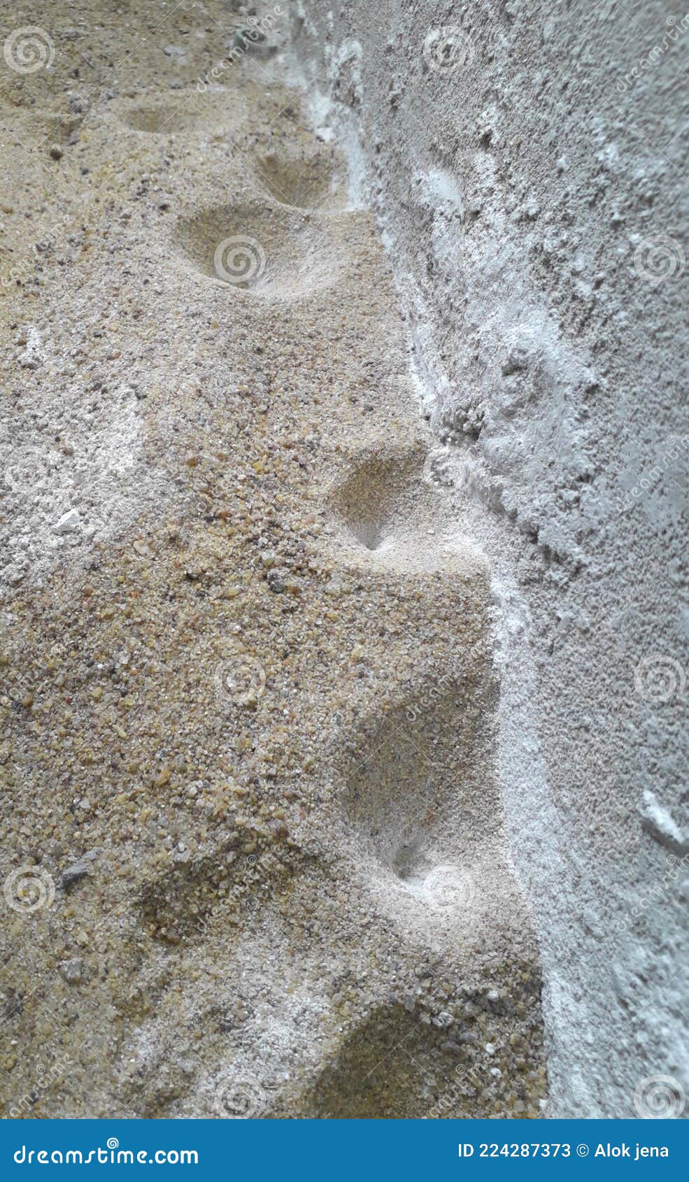 Sand holl sand insects stock image. Image of sandlife - 224287373