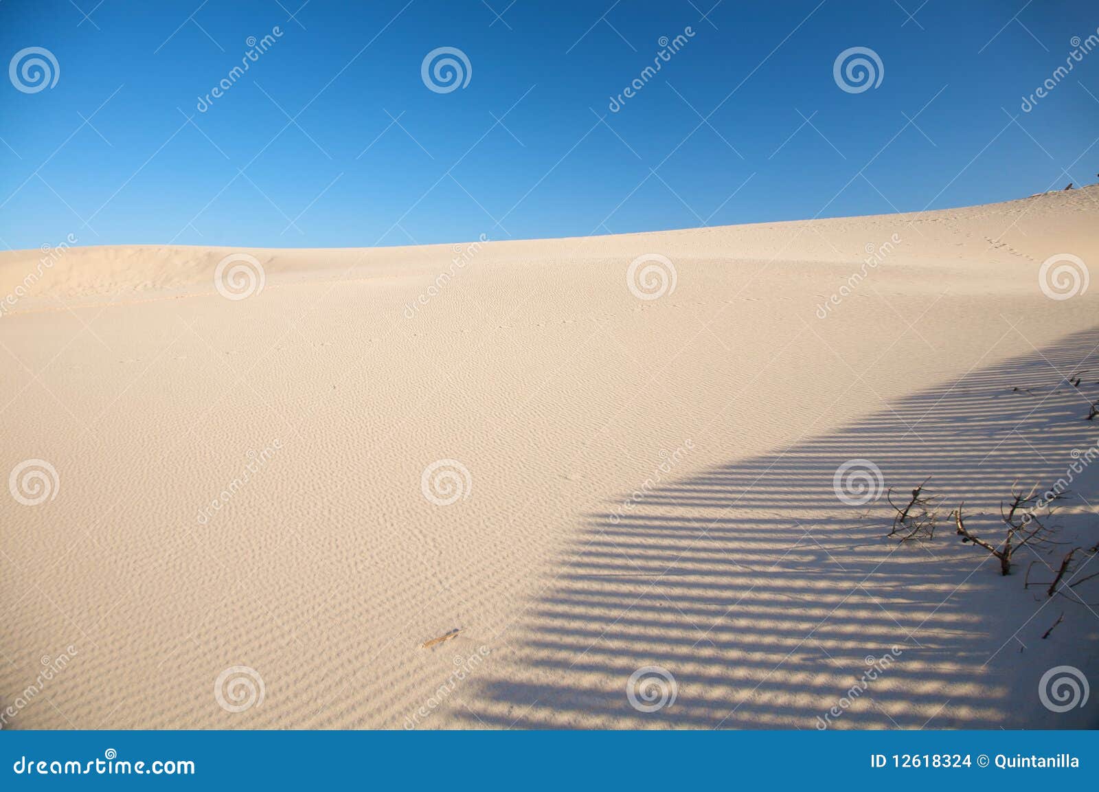 Sand horizon stock photo. Image of leisure, nature, brown - 12618324