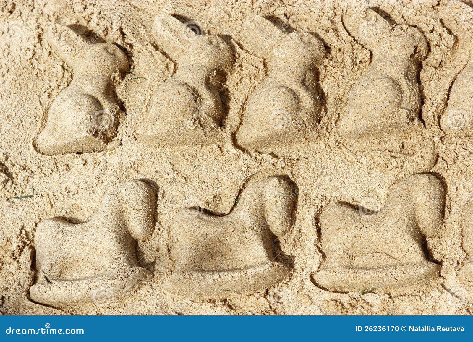 Sand. Hose and Rabbit of Sand Stock Photo - Image of park, rabbit: 26236170