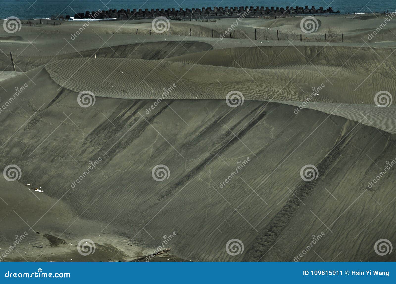 The Sand Landscape with Woods and Levees in Taiwan. Stock Image - Image ...