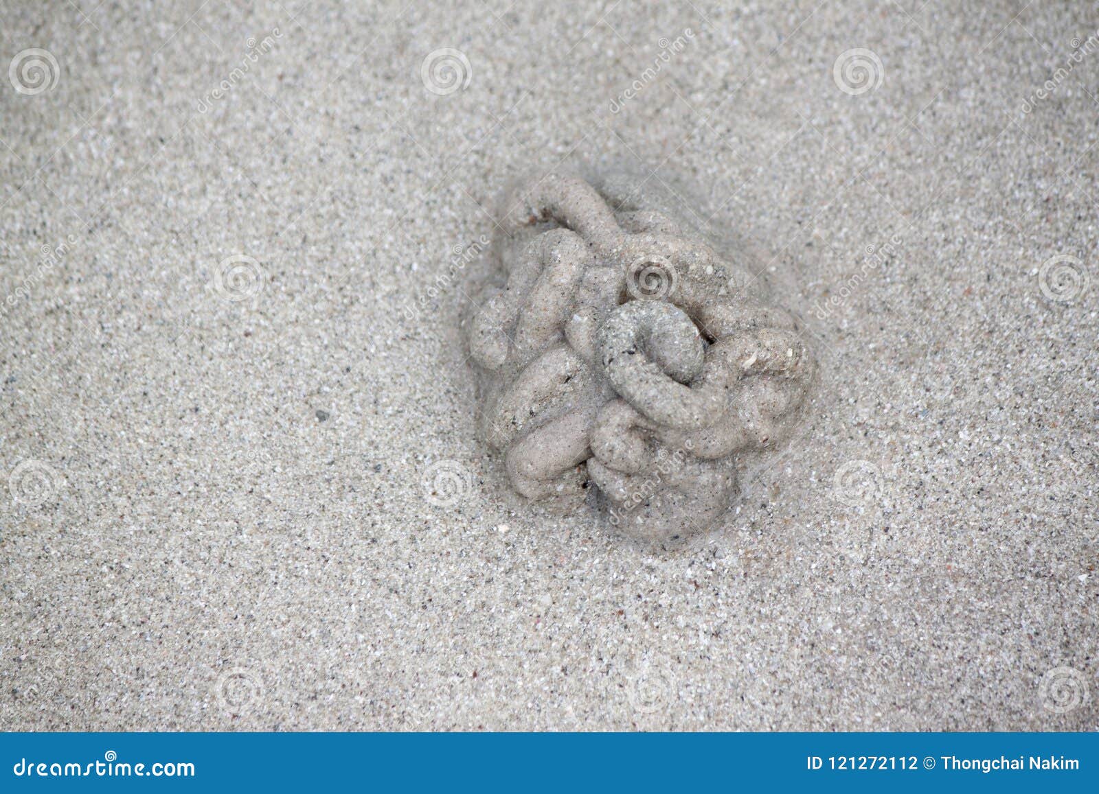 Nature of Stool Made on Sand Beach. Stock Photo - Image of sand, foot ...
