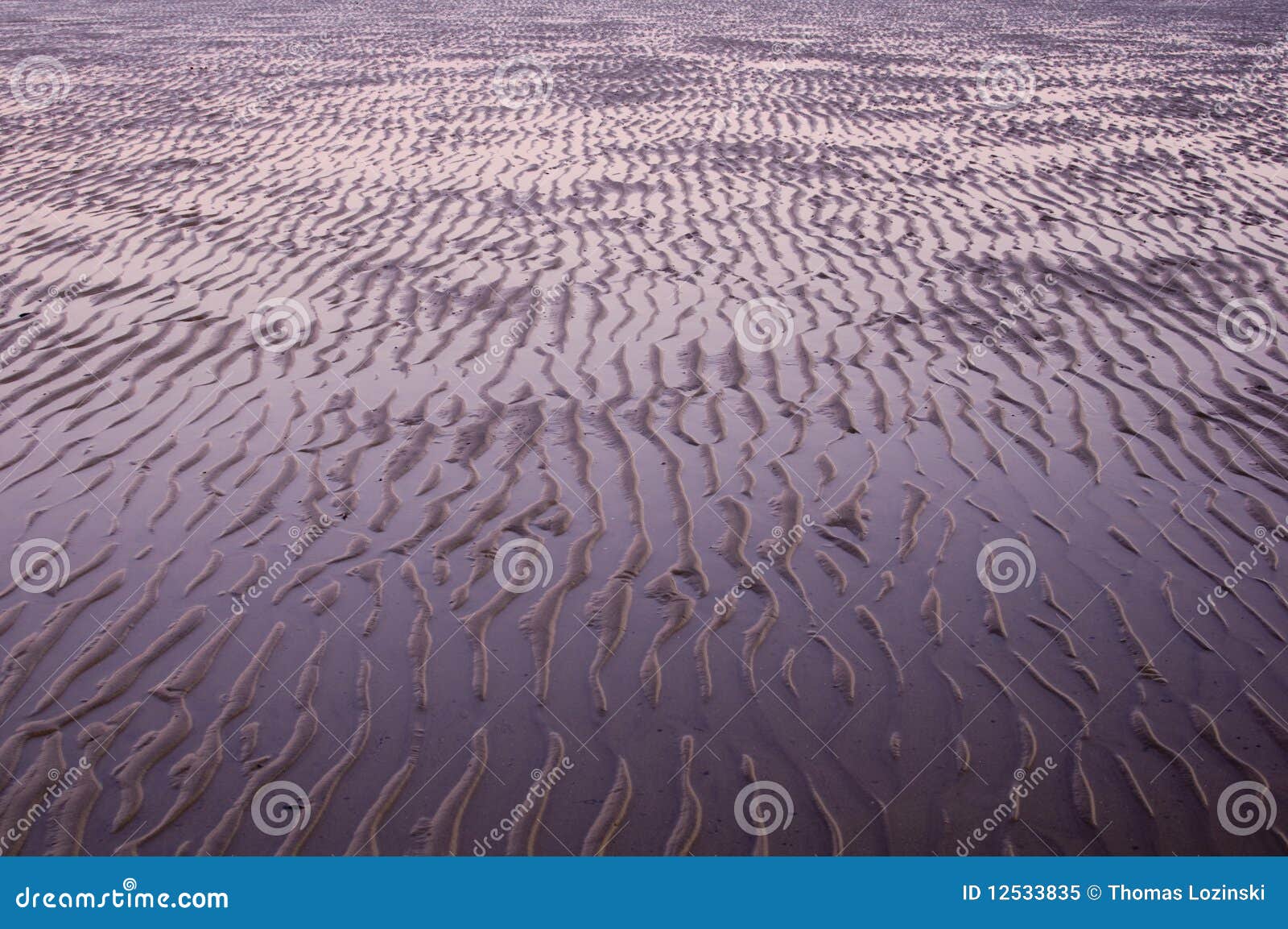 Sand lines stock image. Image of pattern, coast, drift - 12533835