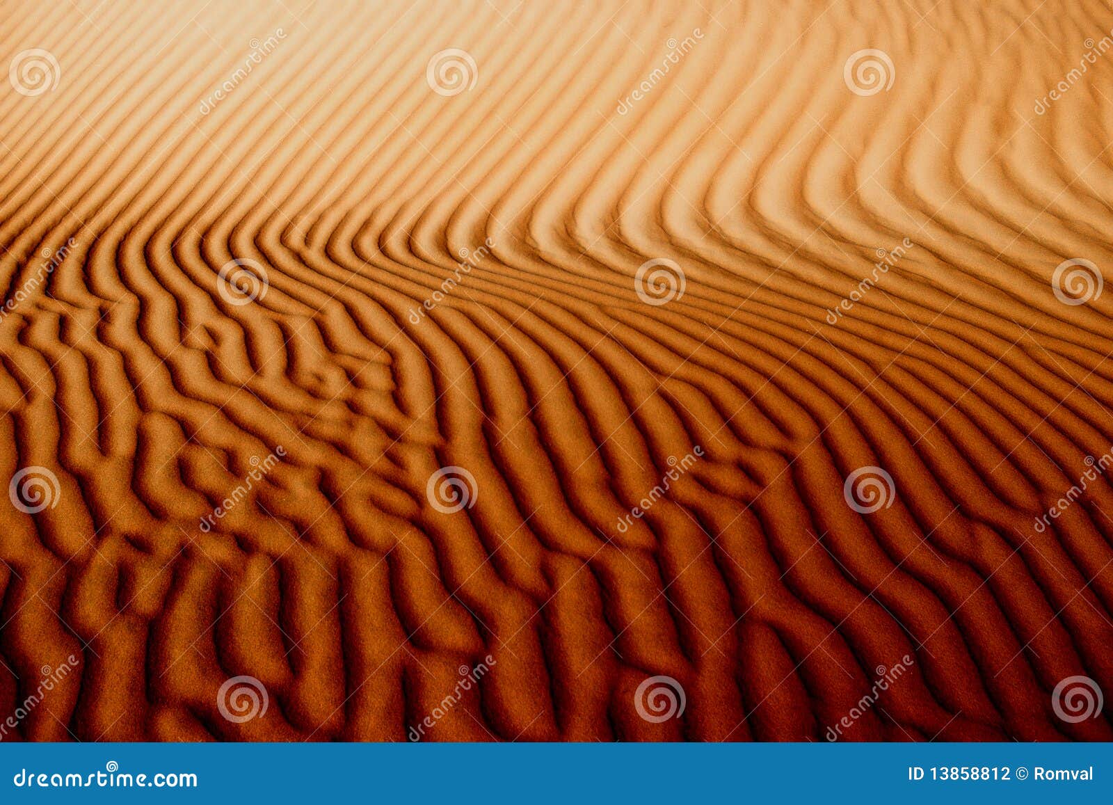 Sand lines stock photo. Image of desert, element, outdoor - 13858812