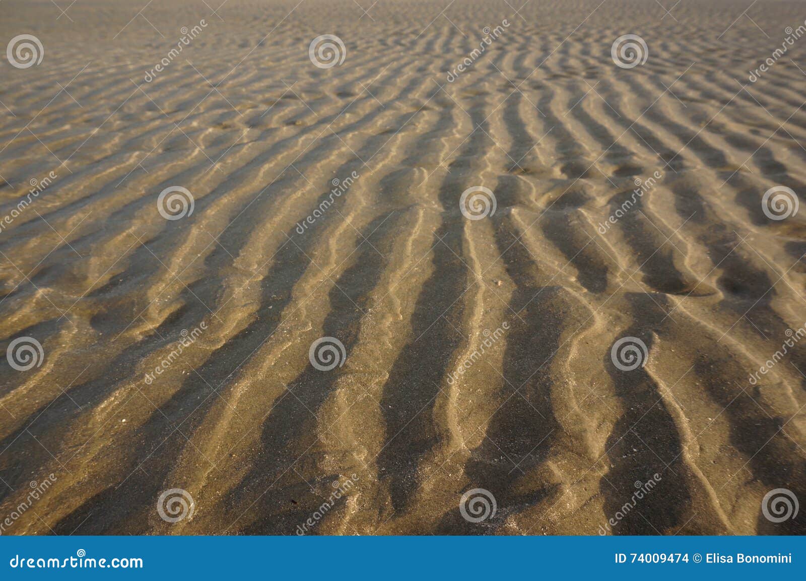 Sand lines stock photo. Image of outdoors, landscape - 74009474