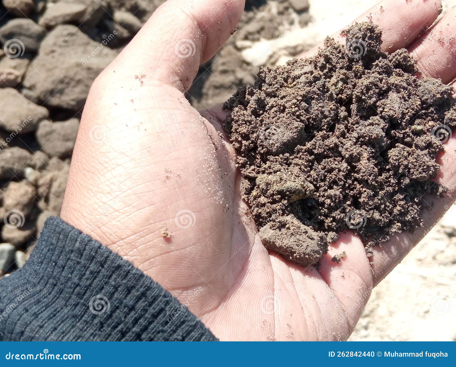 Sand with a Lot of Water Content is Suitable for Farming Stock Photo ...