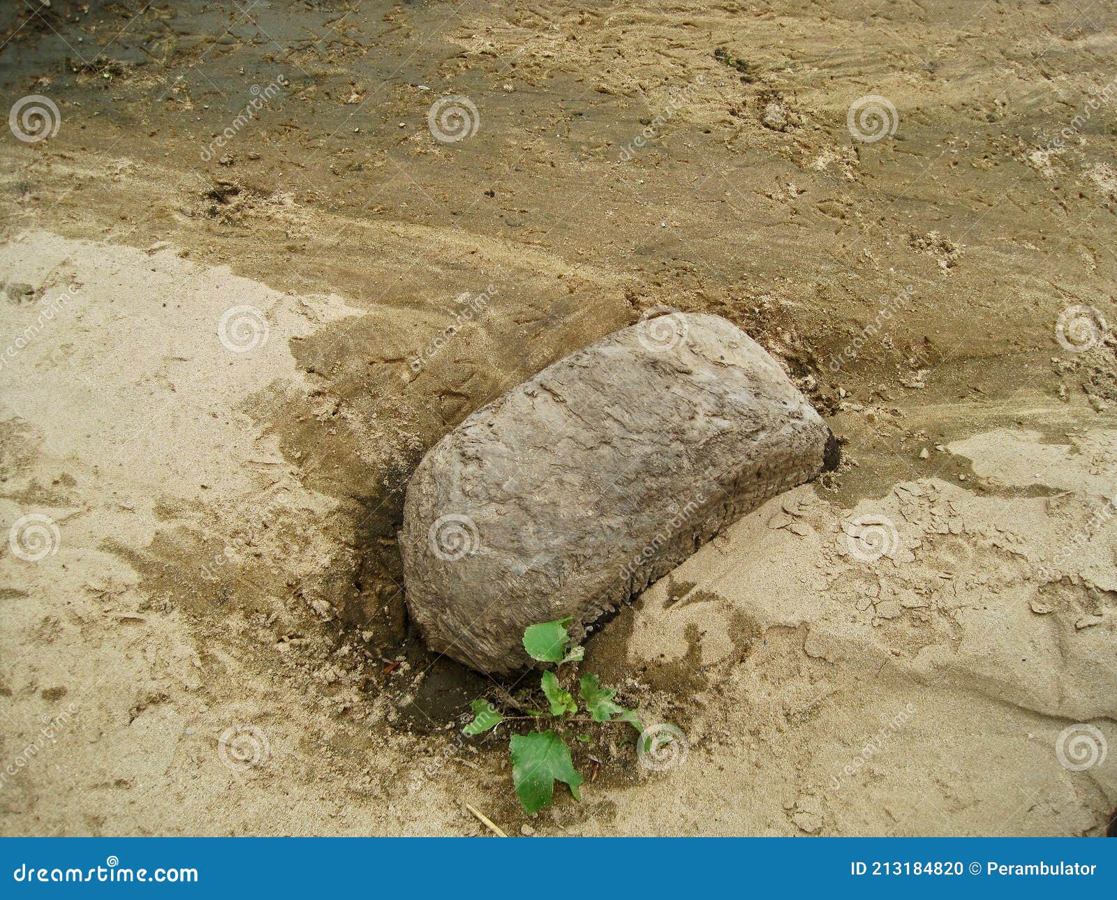 SAND MOLDED AROUND a ROCK by the FLOW of a RIVER Stock Photo - Image of ...