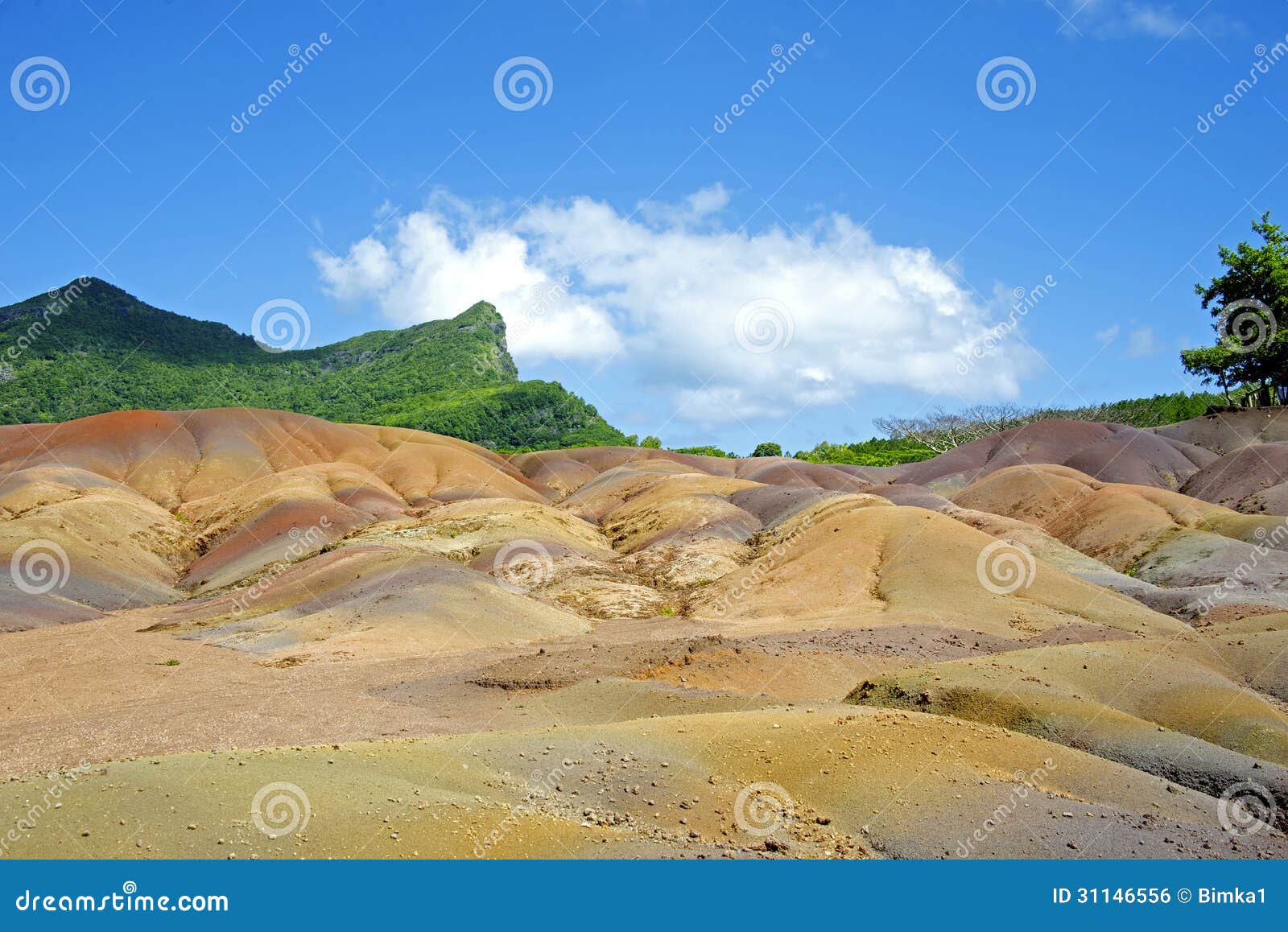 Sand Multicolor, Chamarel Mauritius Stock Photo - Image of tree, effect ...