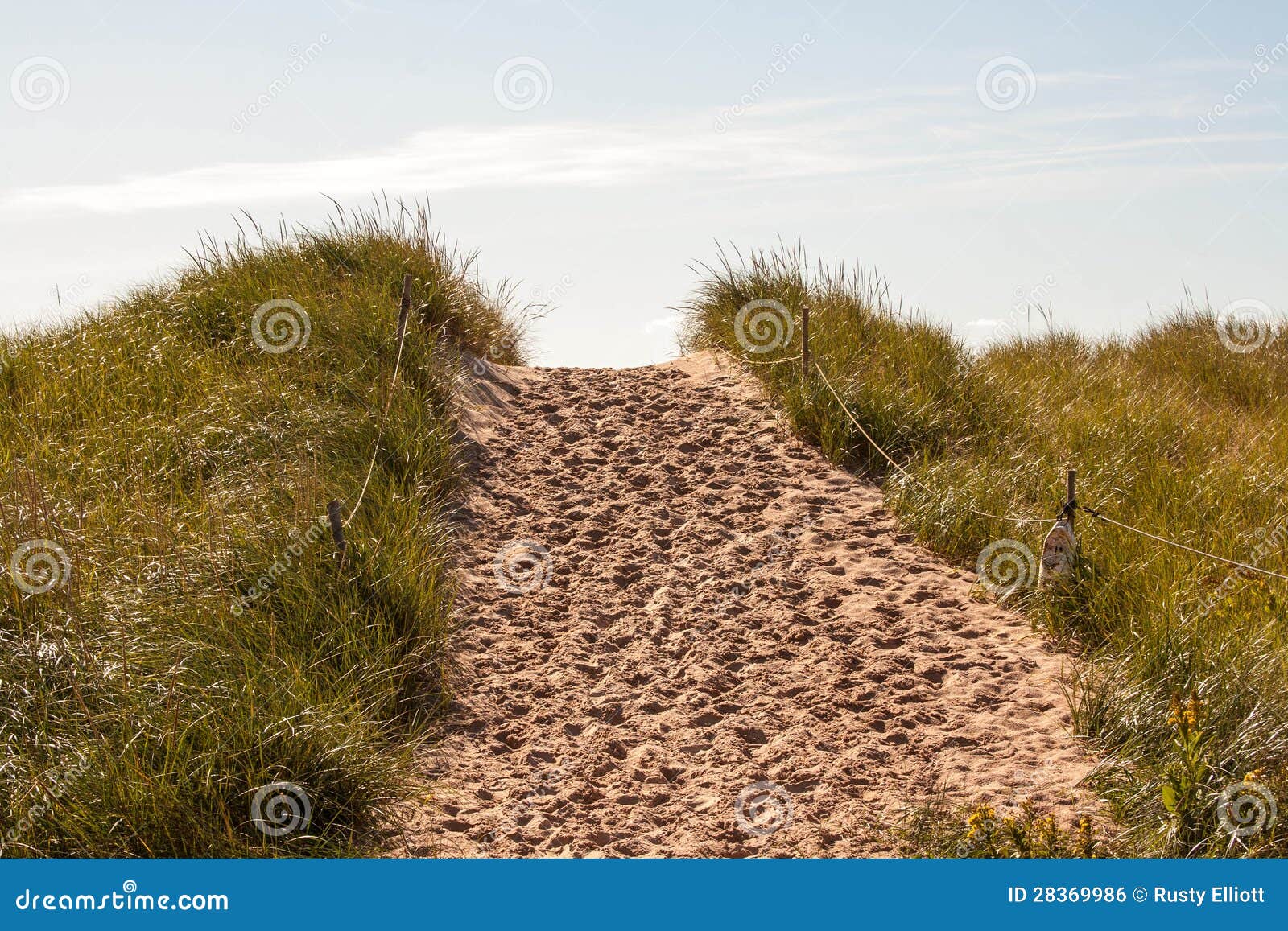 Sand path stock photo. Image of prince, edward, landscape - 28369986