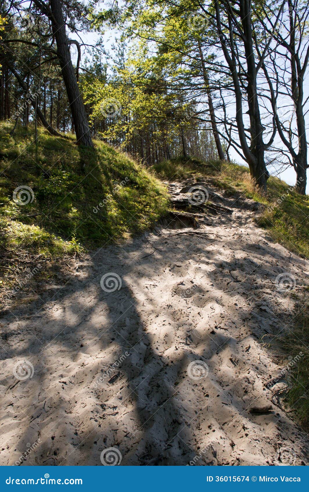 Sand path stock photo. Image of sand, outdoor, ustka - 36015674