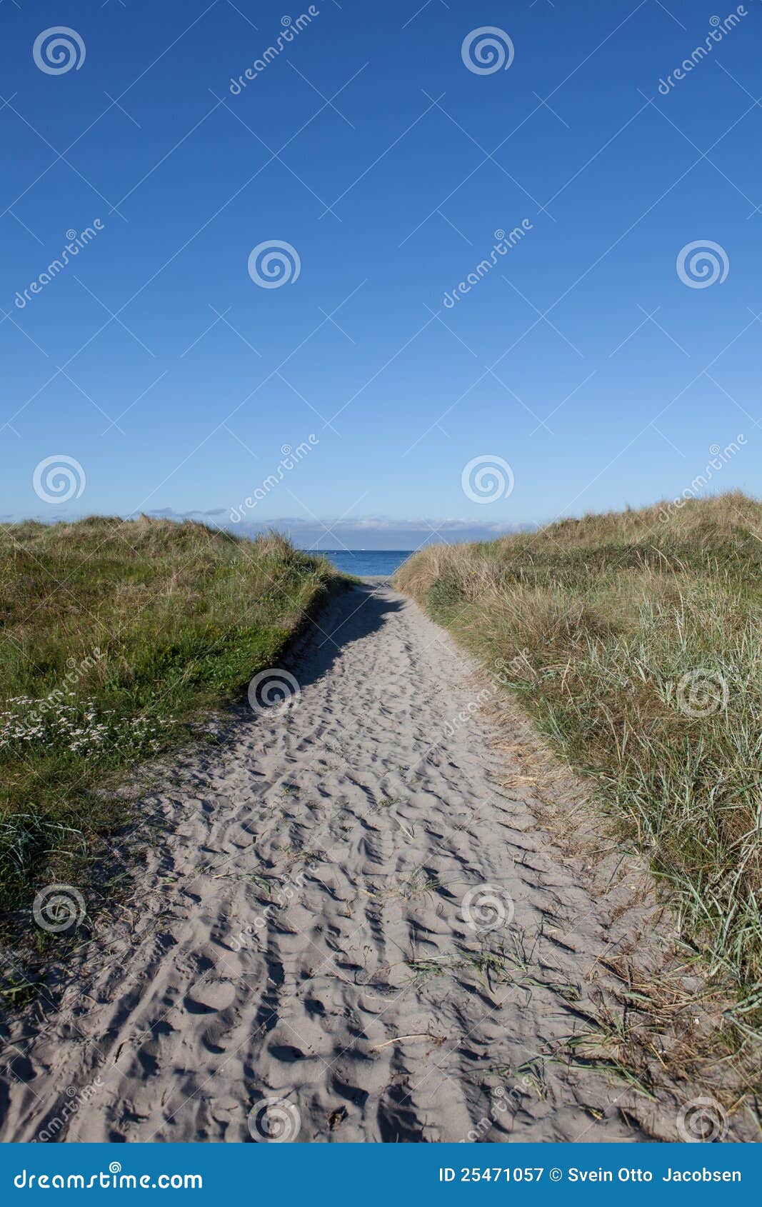 Sand path to the beach! stock image. Image of dune, track - 25471057