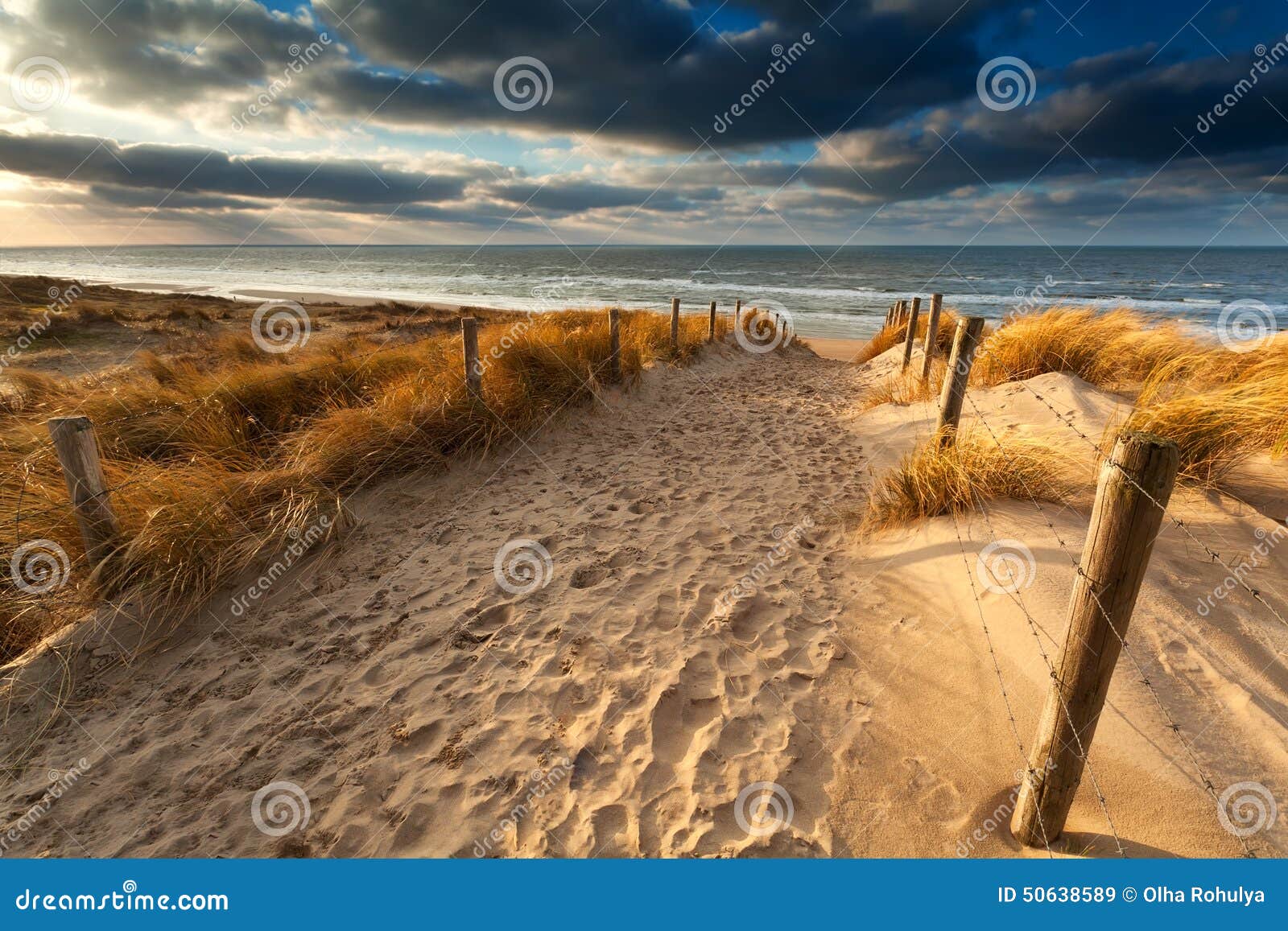Sand Path To North Sea Beach Stock Image - Image of people, grass: 50638589