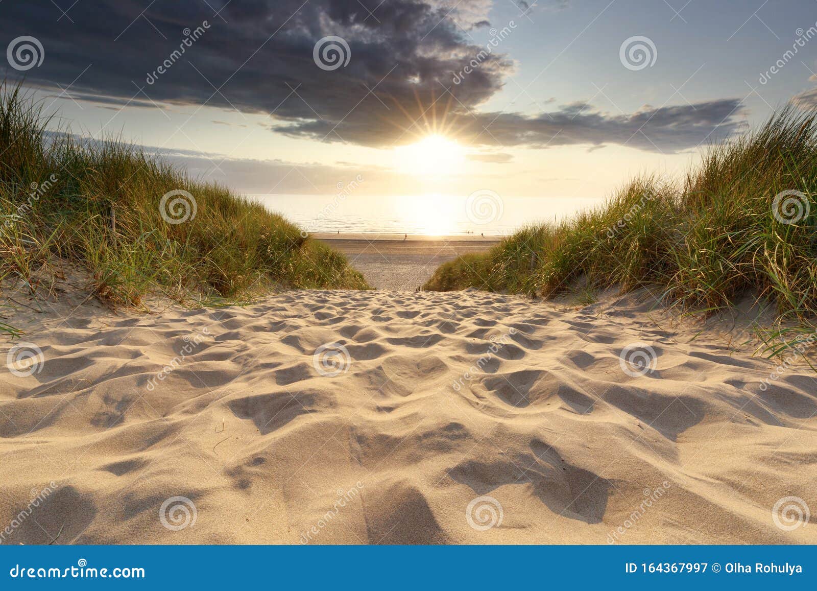 Sand Path To North Sea Beach at Sunset Sunshine Stock Image - Image of ...