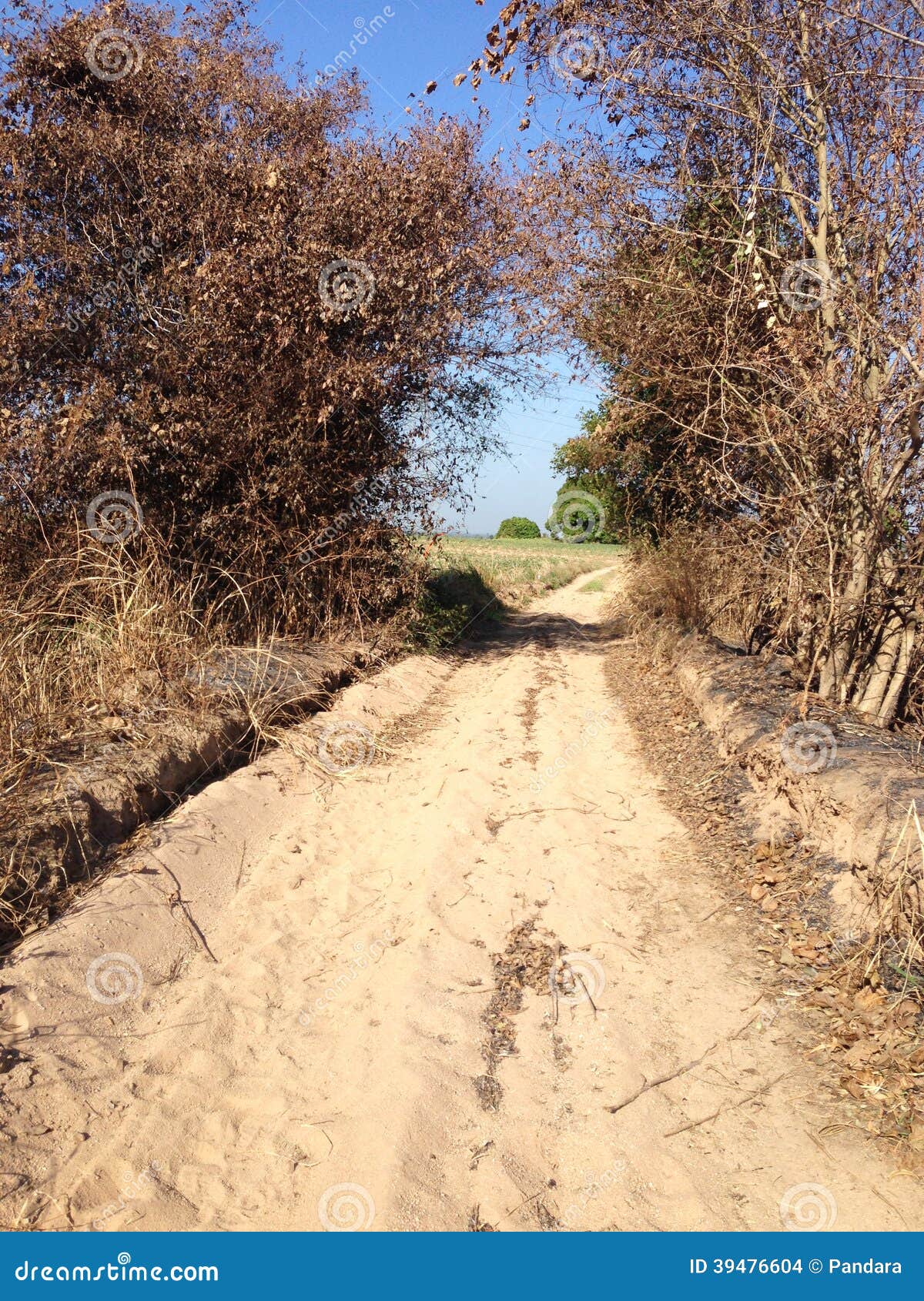 Sand path for trail stock photo. Image of barren, natural - 39476604