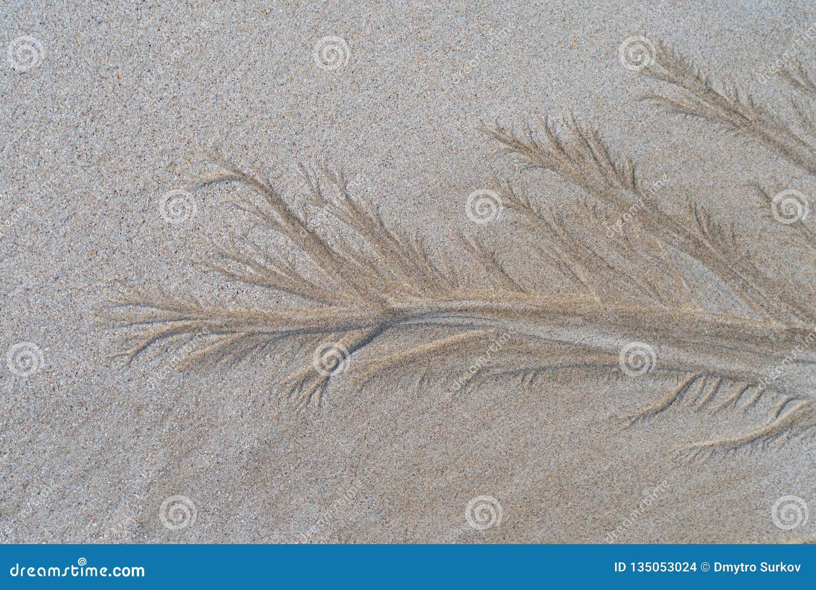 Sand pattern on the beach stock photo. Image of line - 135053024
