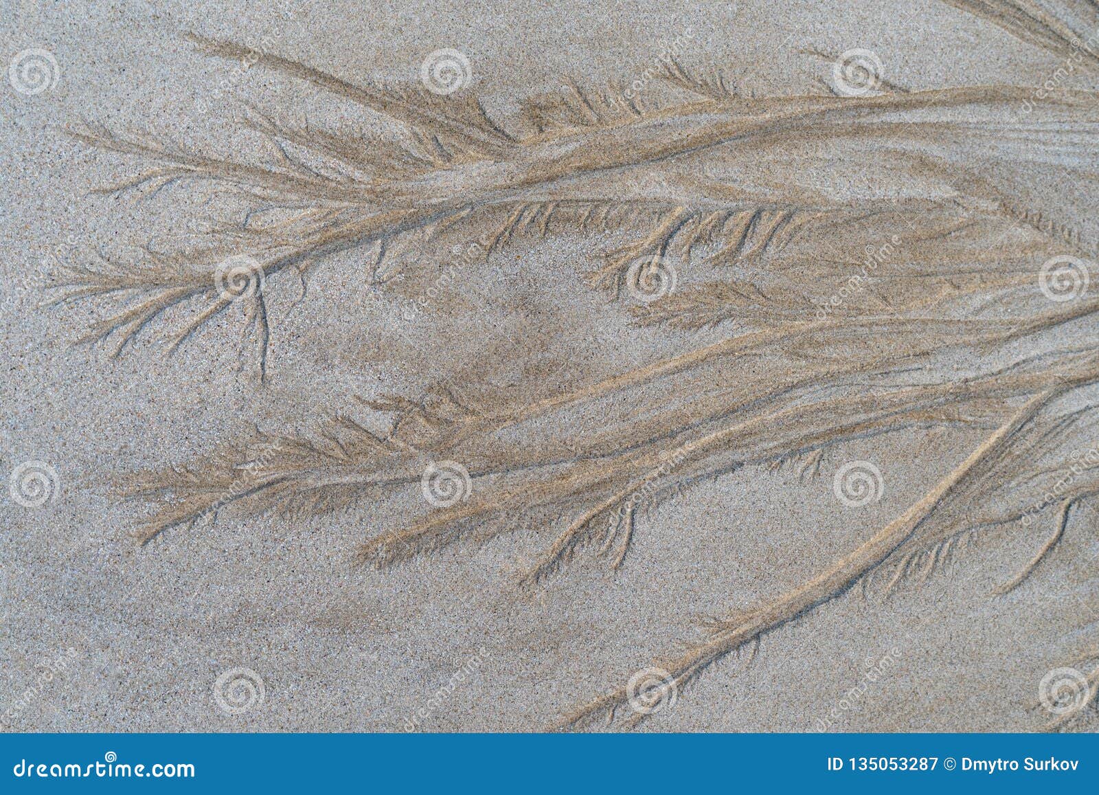 Sand pattern on the beach stock image. Image of formed - 135053287