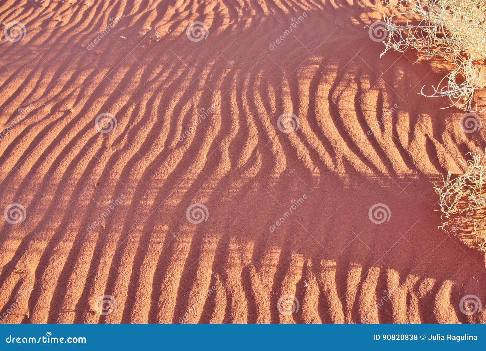 Sand pattern in desert. stock photo. Image of fragment - 90820838