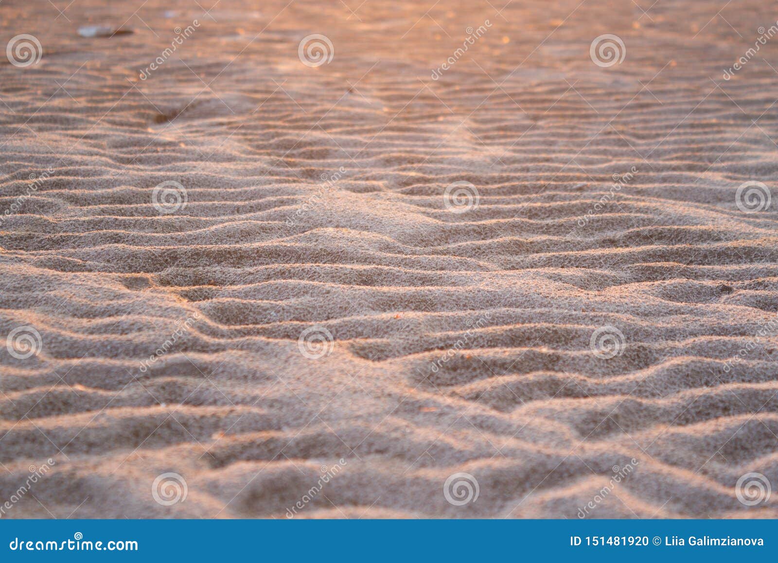 Sand pattern in the desert stock photo. Image of sunrise - 151481920