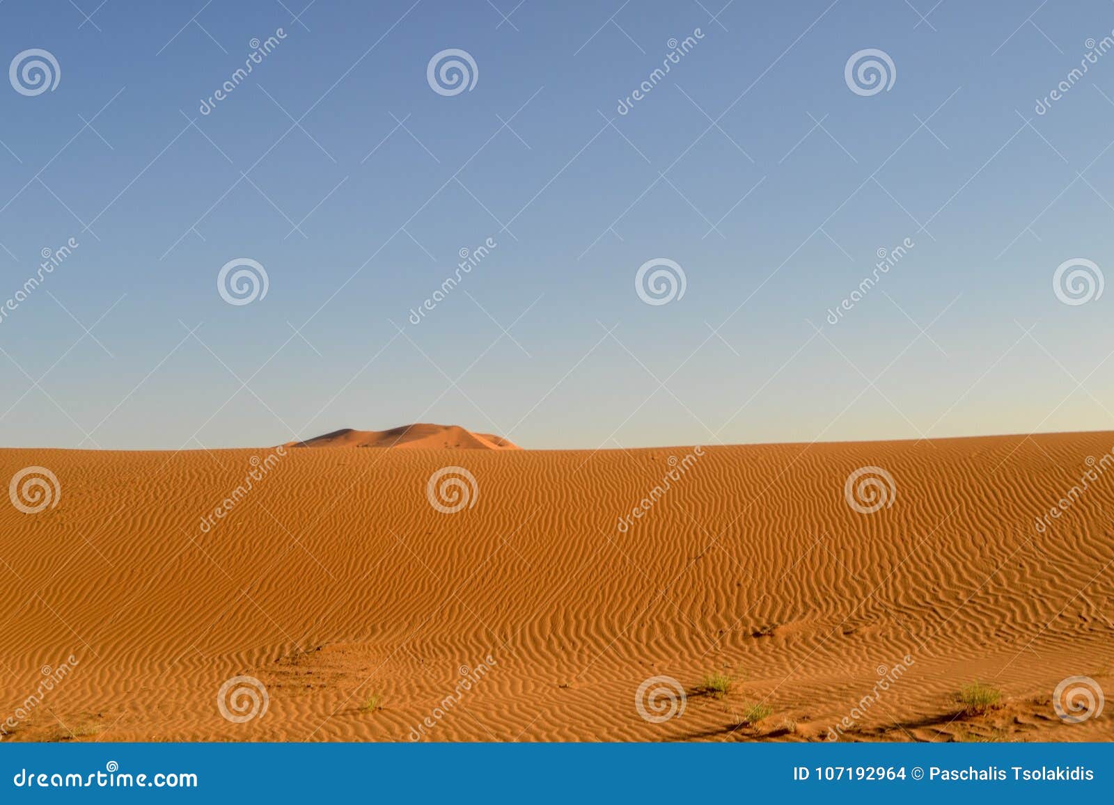 Saharan sand dune stock photo. Image of sahara, sand - 107192964