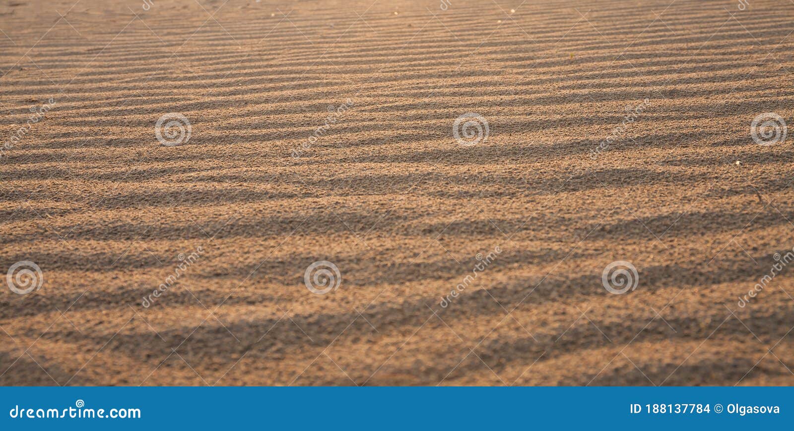 Sand Pattern, Waves, Sand Ripples in the Wind Stock Photo - Image of ...