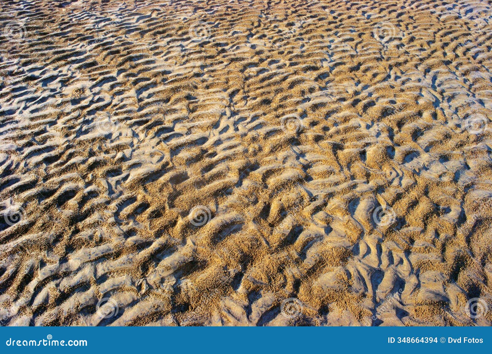 Sand Patterns Stock Image | CartoonDealer.com #5428207
