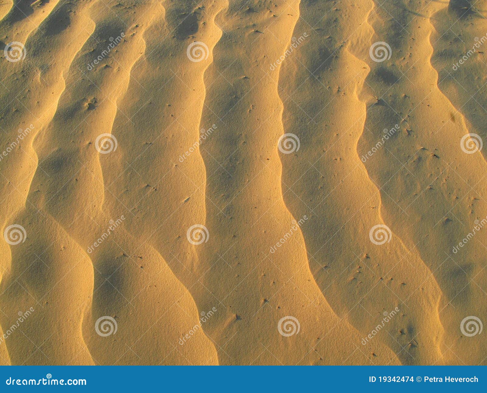 Sand Patterns in the Desert Stock Photo - Image of safari, contrast ...