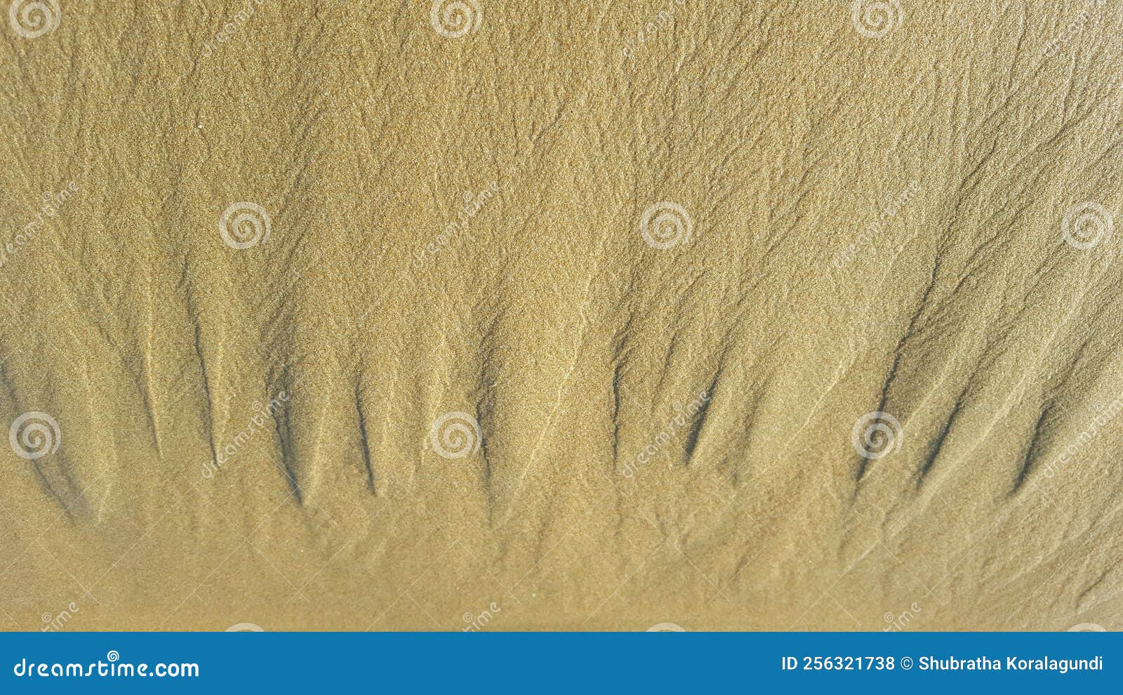 Sand Patterns on a Seashore Stock Photo - Image of beaches, nature ...