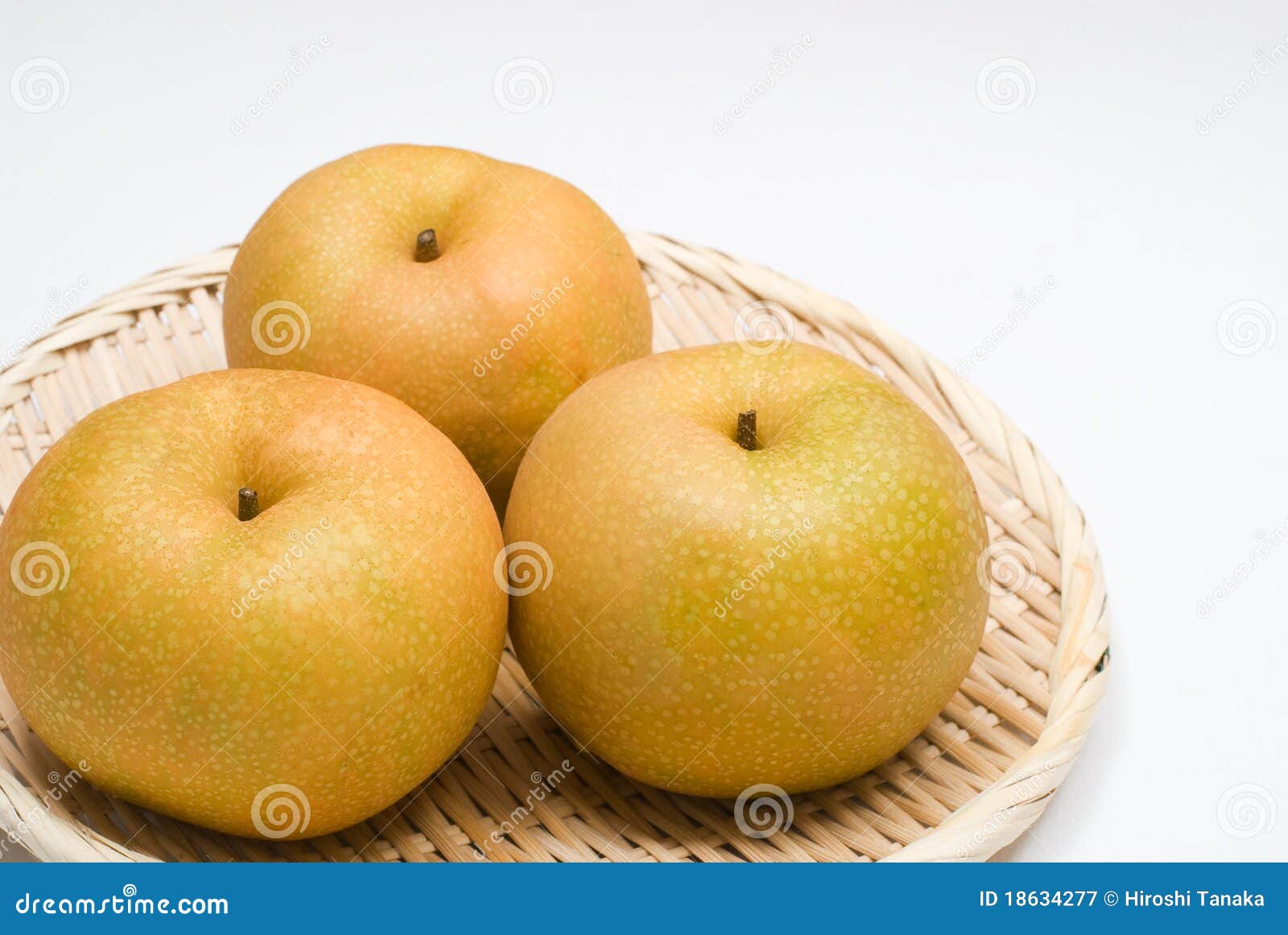 Sand pear stock image. Image of pear, summer, plants - 18634277