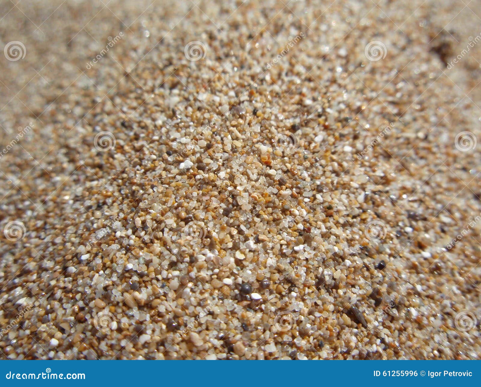 Sand, pebble stock photo. Image of beach, detalj, sand - 61255996