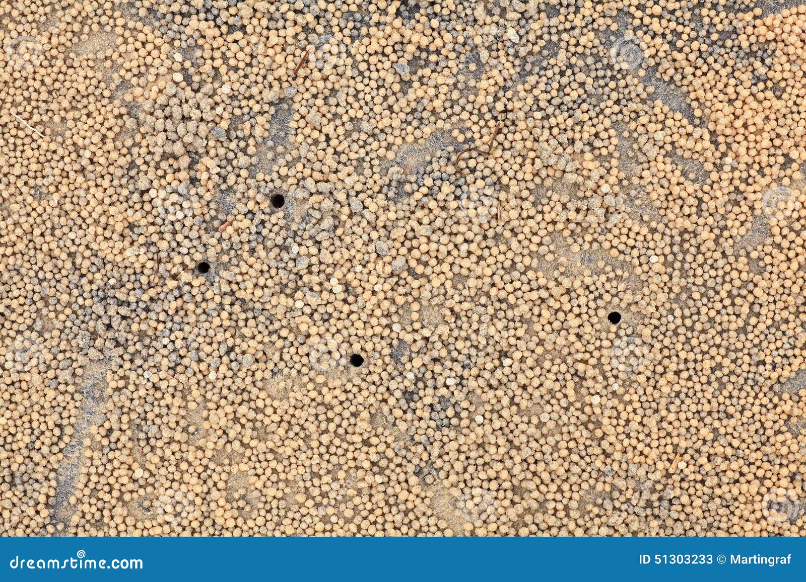 Sand Pellets Natural Texture at Beach by Low Tide Stock Image - Image ...