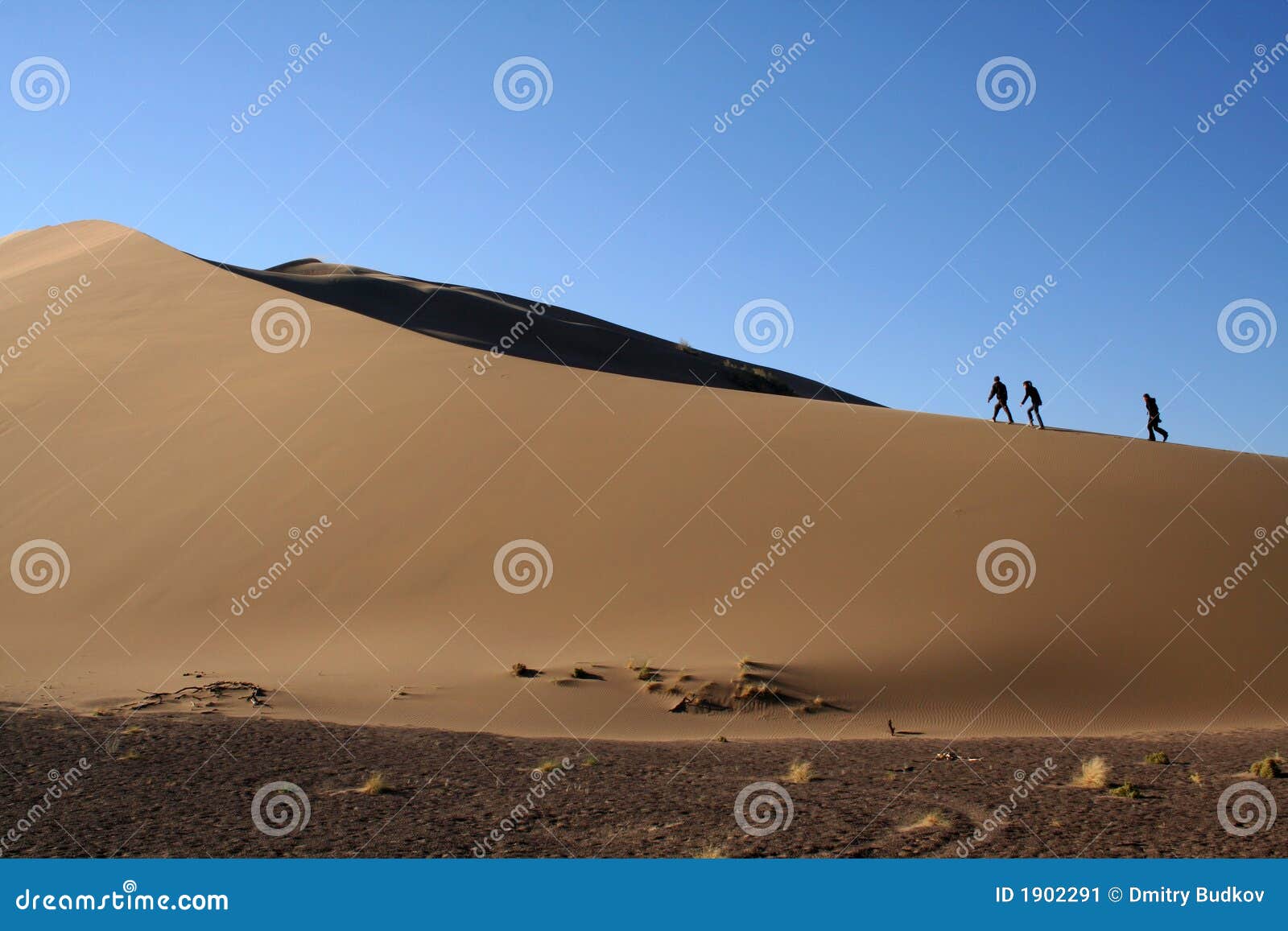 Sand and People stock image. Image of dunes, footsteps - 1902291