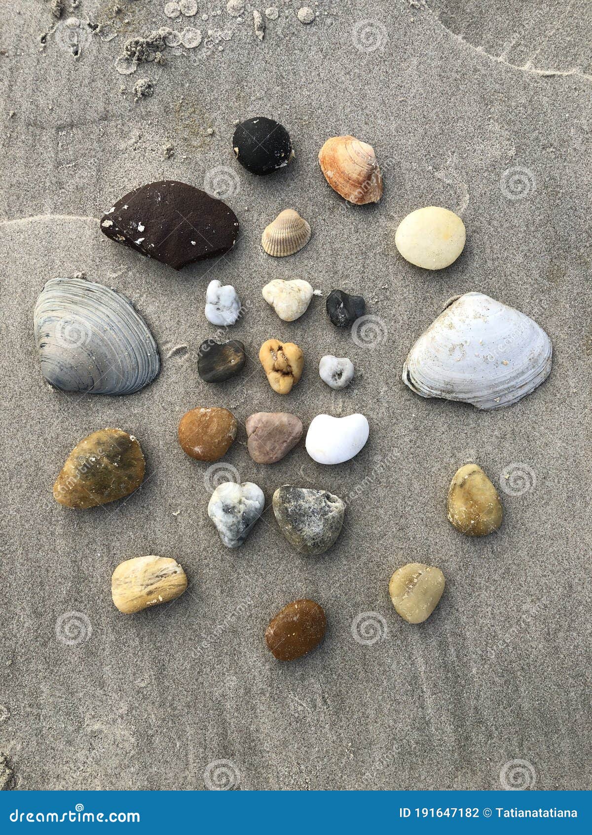 Rocks and Shells on Rockaway Beach Stock Photo - Image of sand, rocks ...