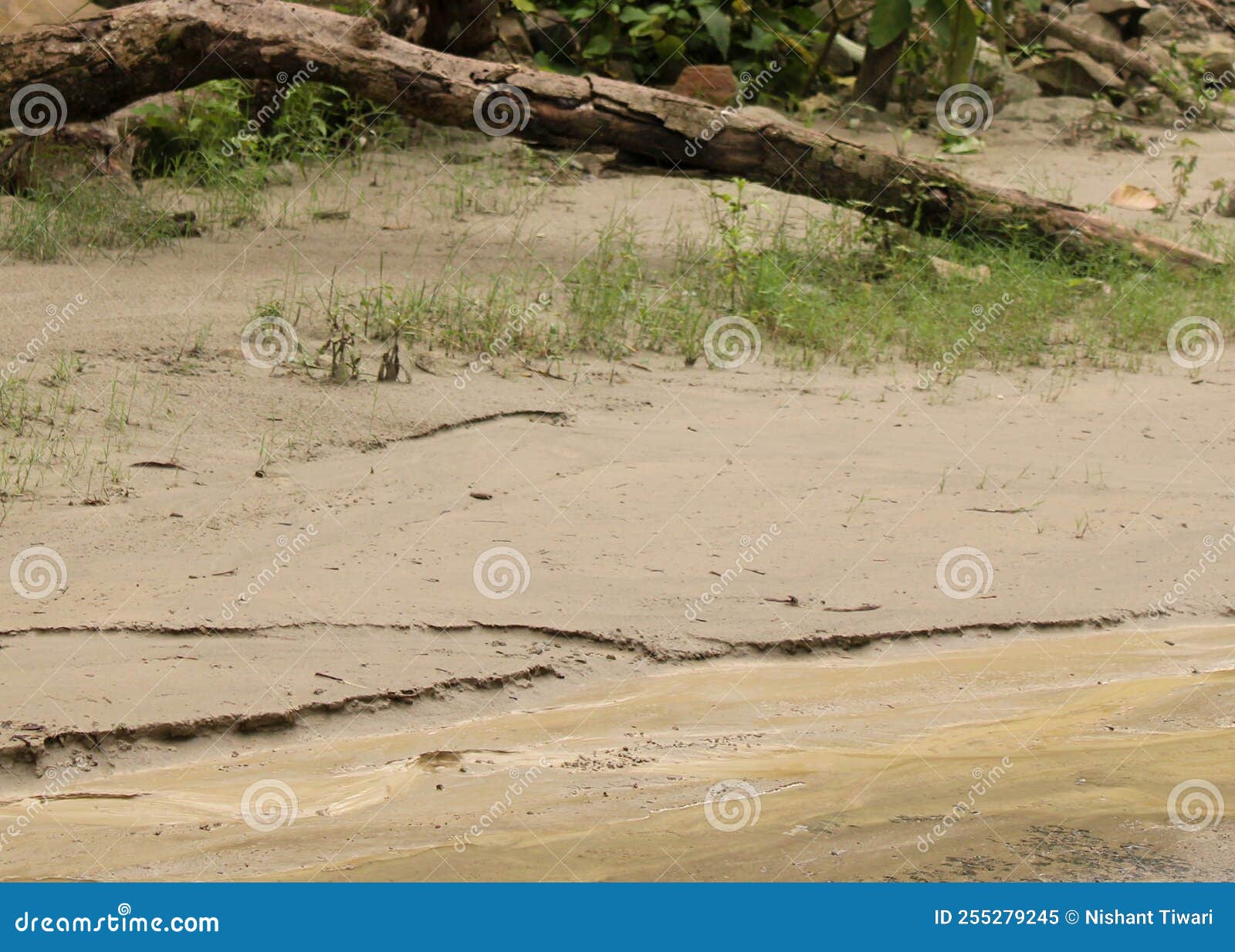 Sand pit with water stock image. Image of summer, blue - 255279245