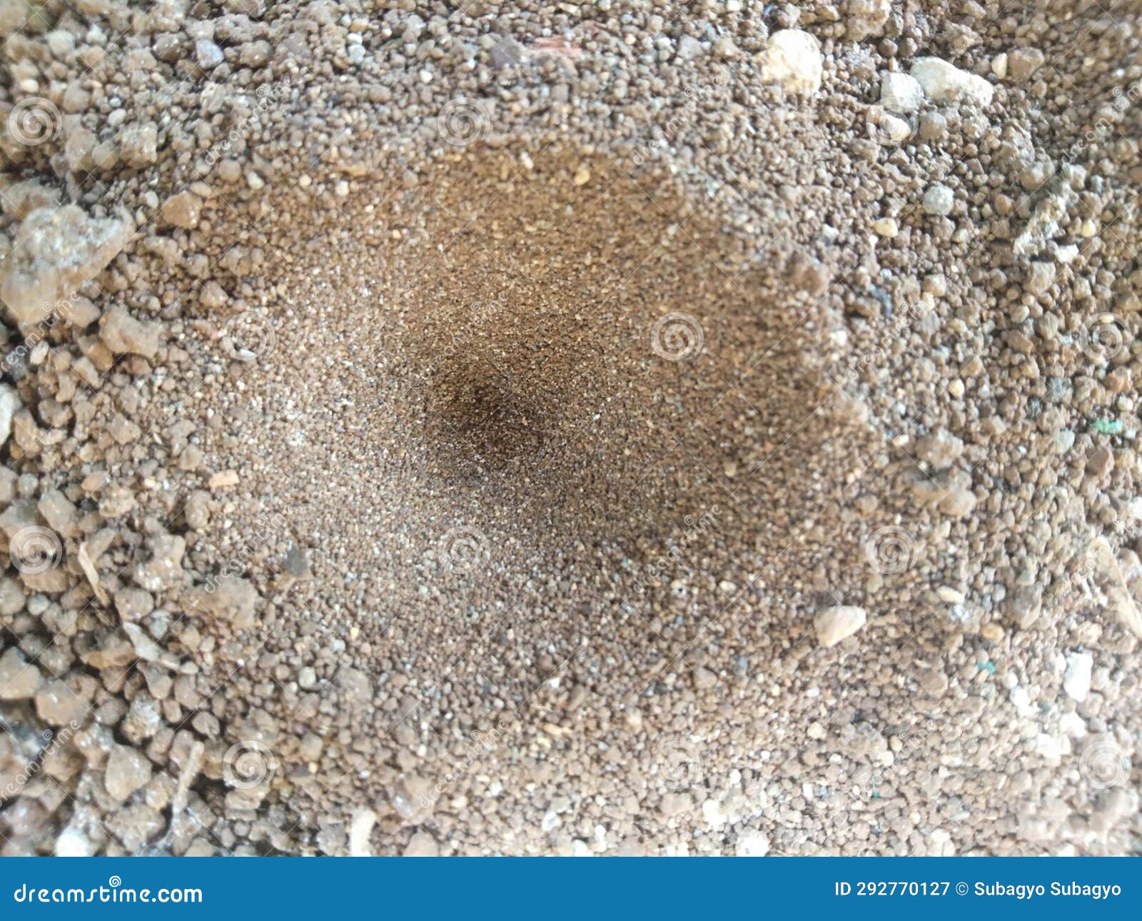 Sand Pit Where Myrmeleontidae Insects Live Stock Image - Image of ...