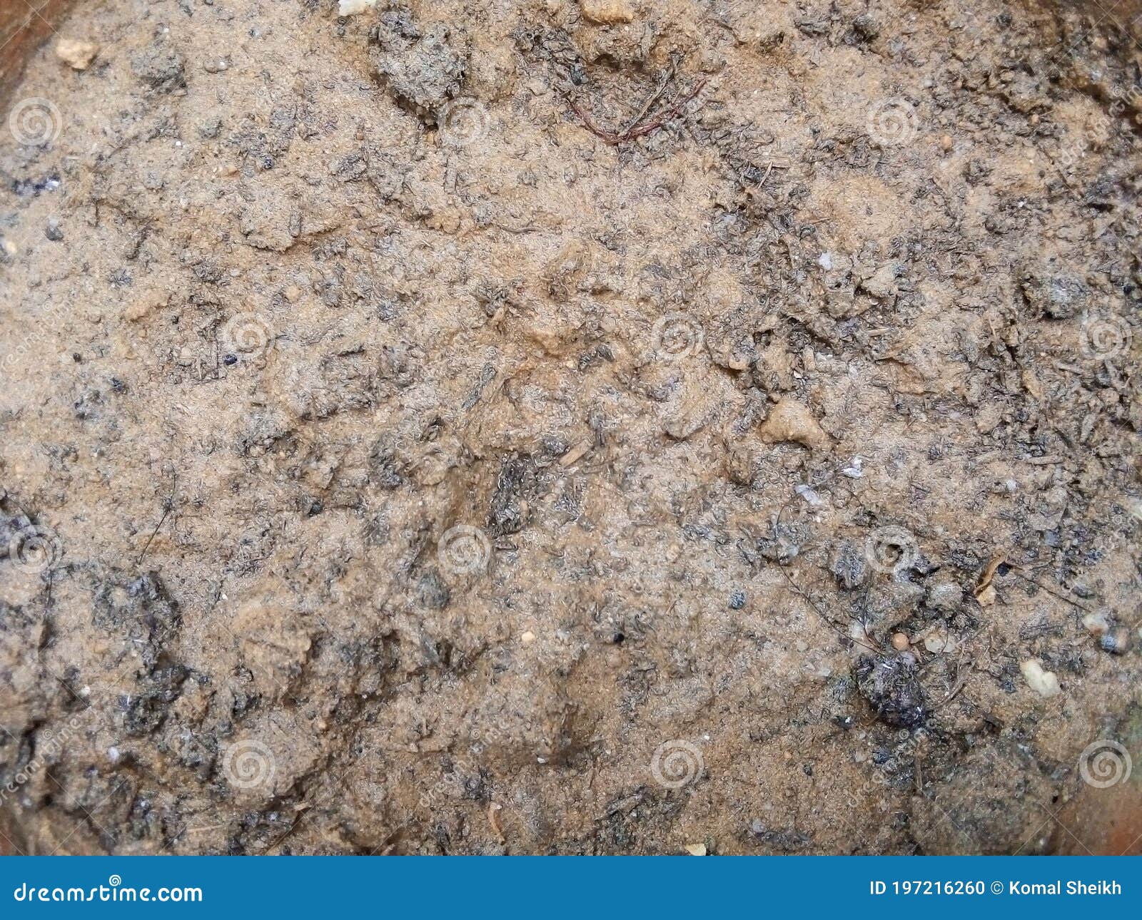 Sand in the pot close up stock photo. Image of tile - 197216260