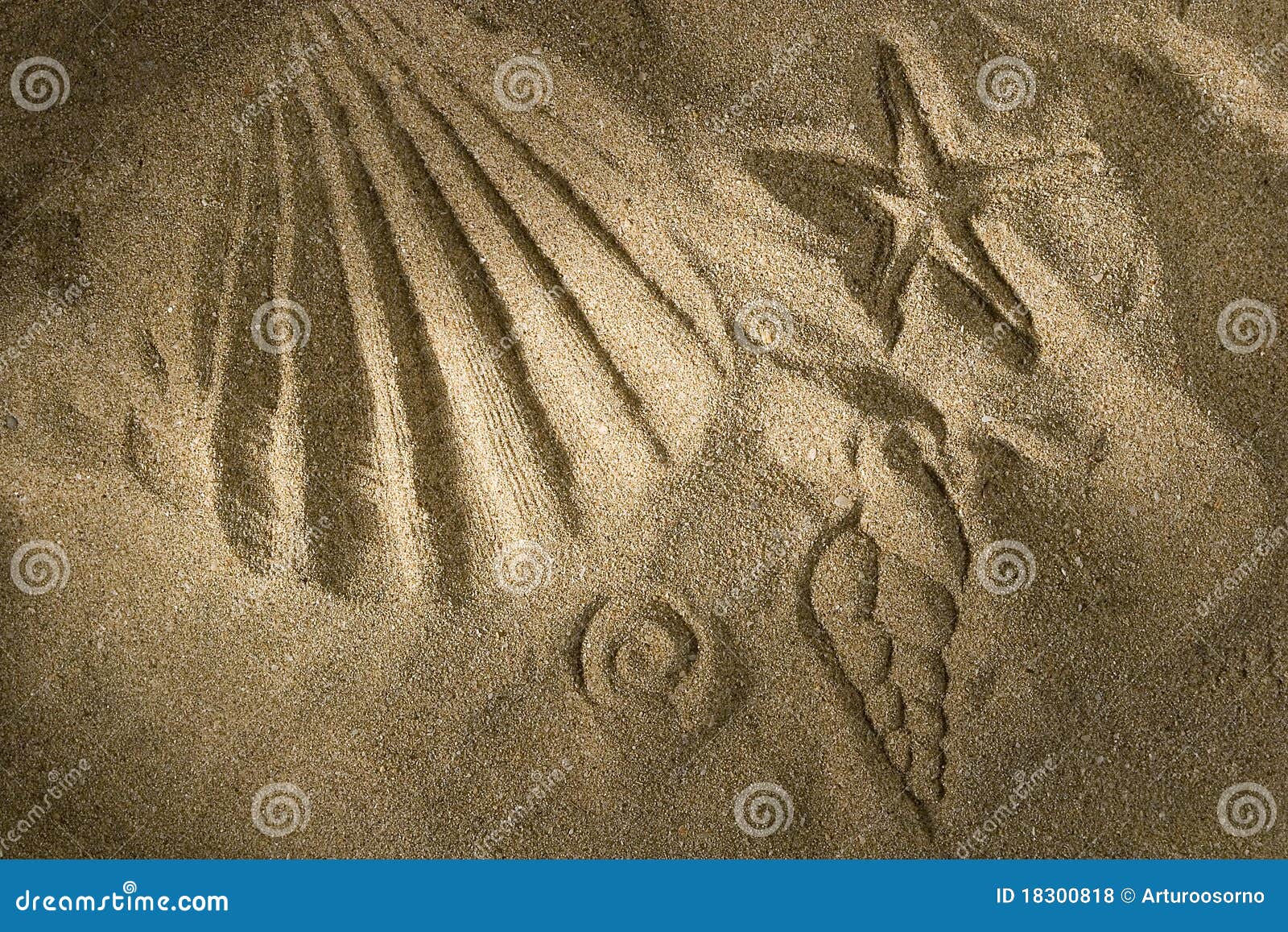 Sand print stock photo. Image of peaceful, beach, light - 18300818