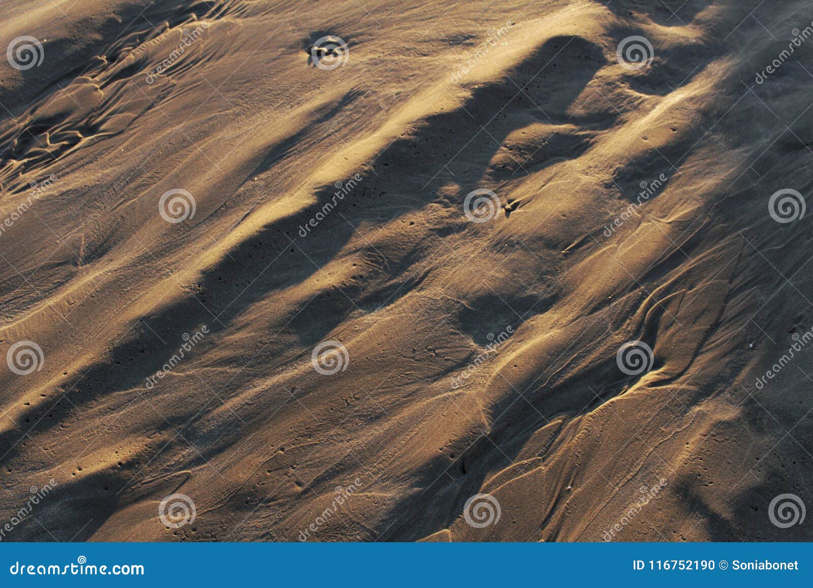 Sand Racked Texture on the Beach Stock Photo - Image of travel, desert ...