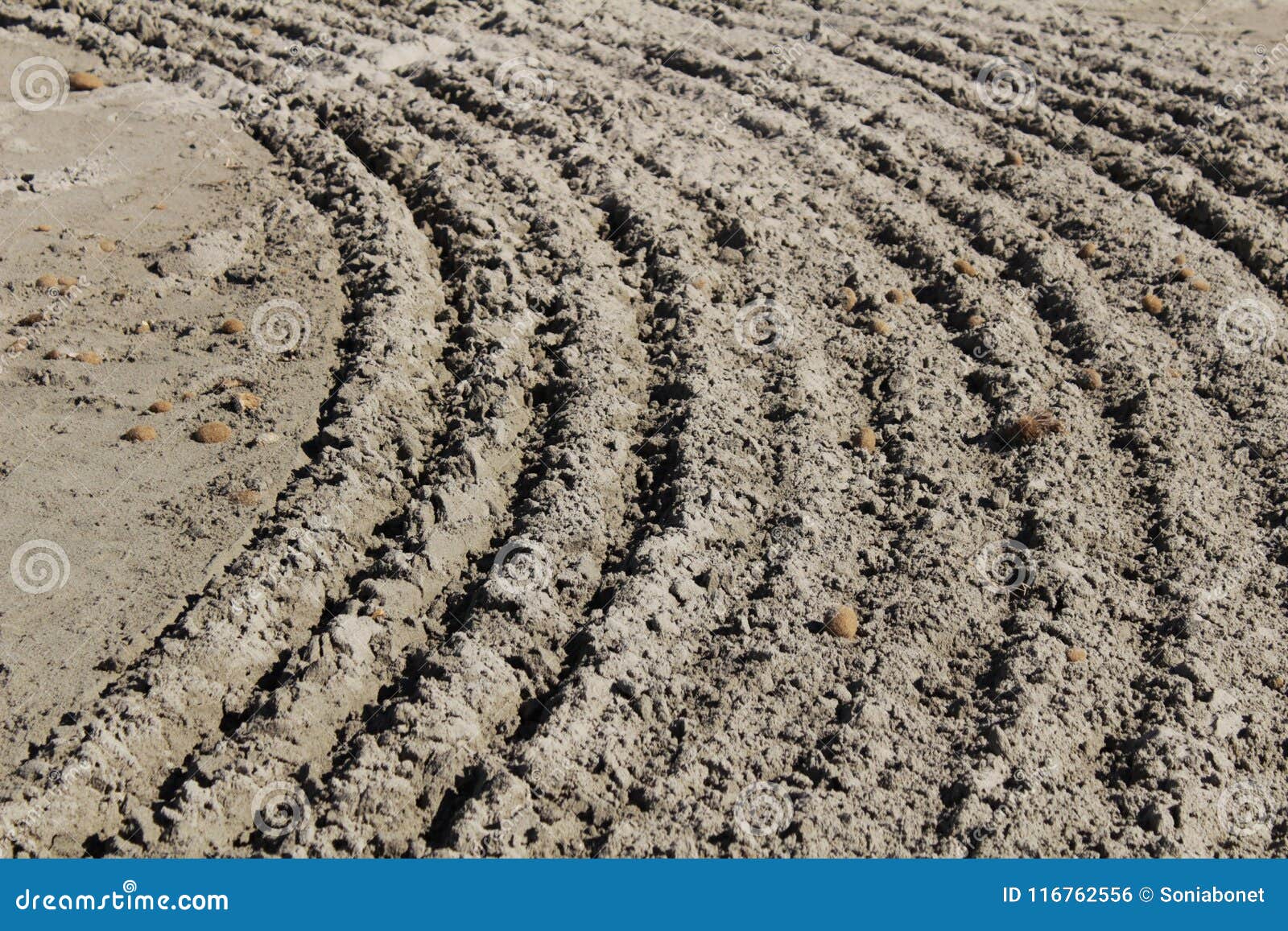 Sand Racked Texture on the Beach Stock Photo - Image of summer, grain ...
